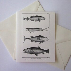 Fish Note Cards Stationery Set of 10 Cards in White or Light Ivory With ...