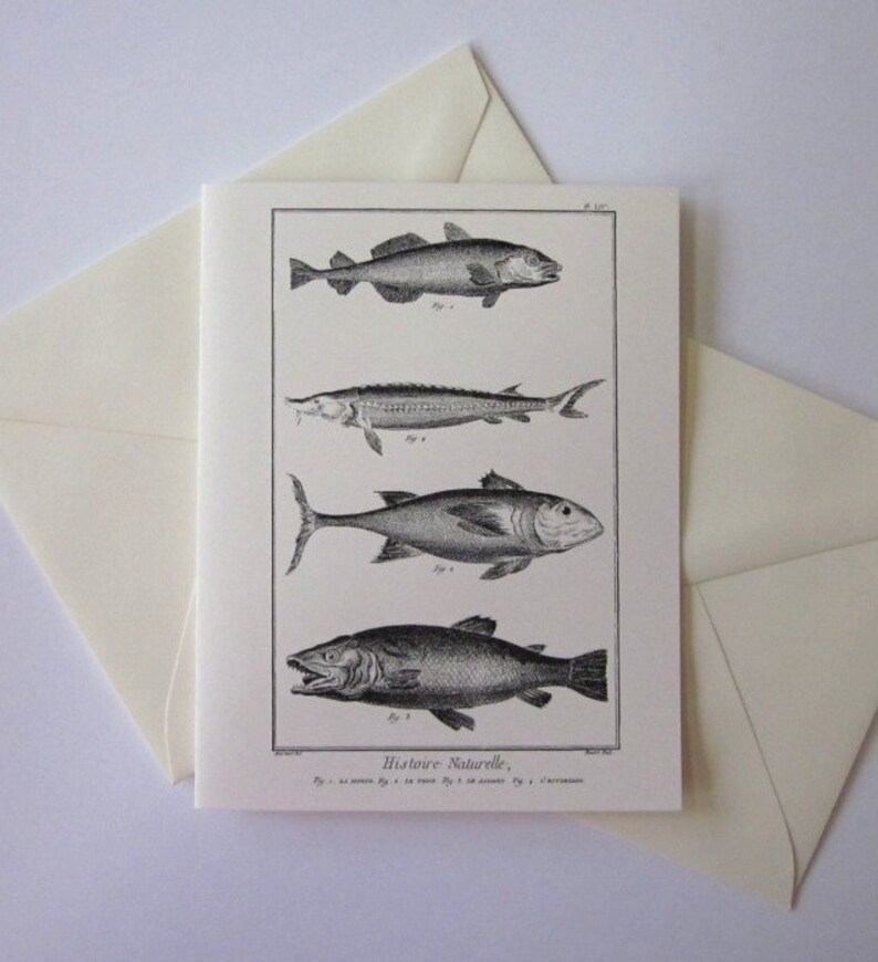 Fish Note Cards Stationery Set of 10 Cards in White or Light - Etsy