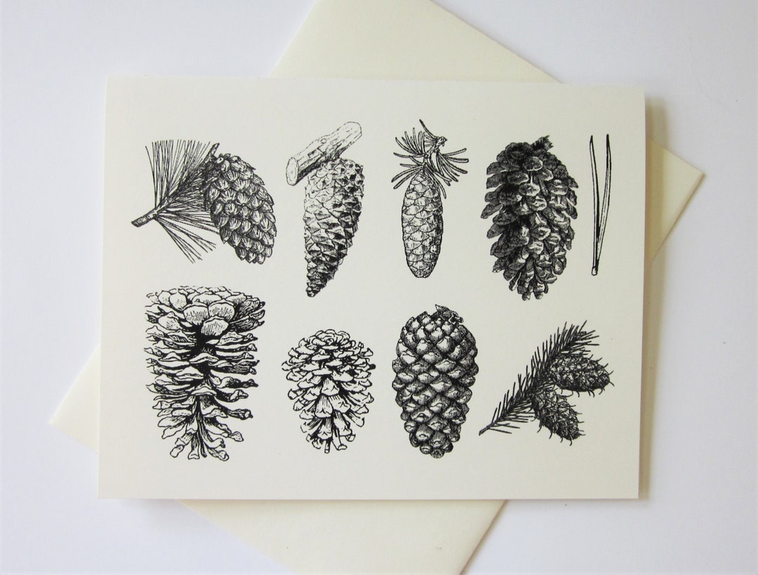 Pinecone Note Cards Set of 10 With Matching Envelopes - Etsy