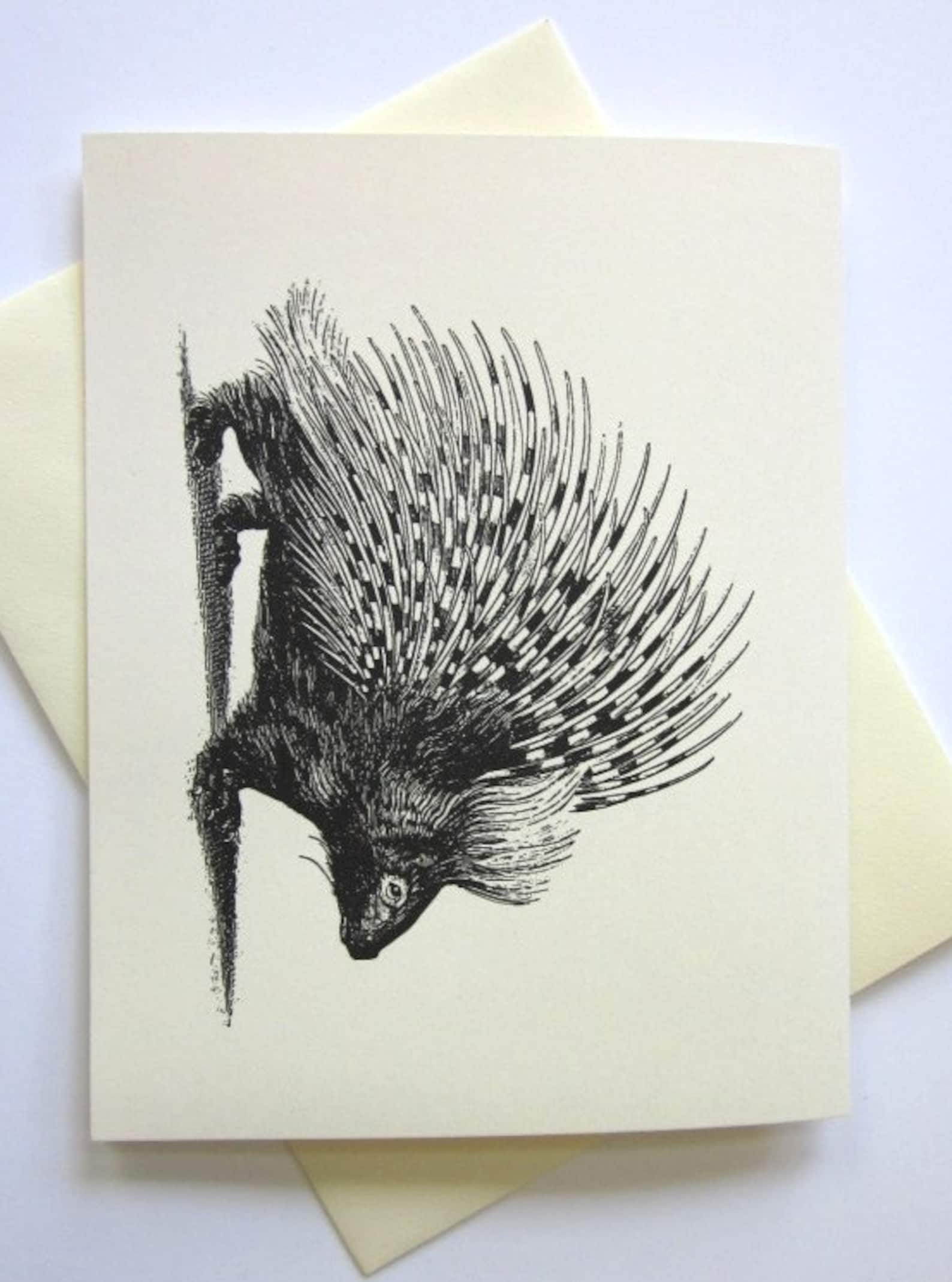 Porcupine Woodland Stationery Note Cards Set of 10 With Matching ...