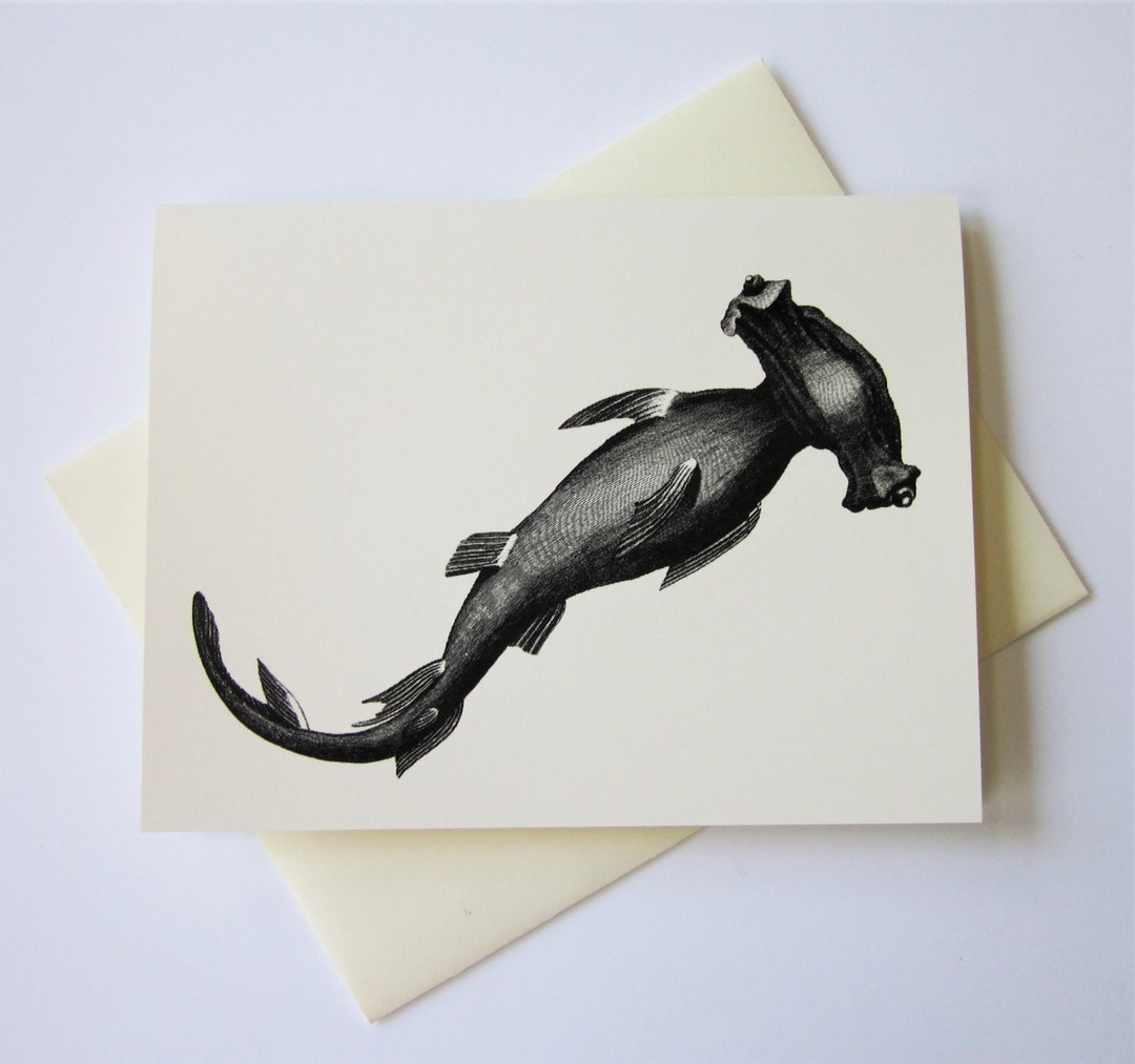 Hammerhead Shark Note Cards Stationery Set of 10 Cards in White or ...