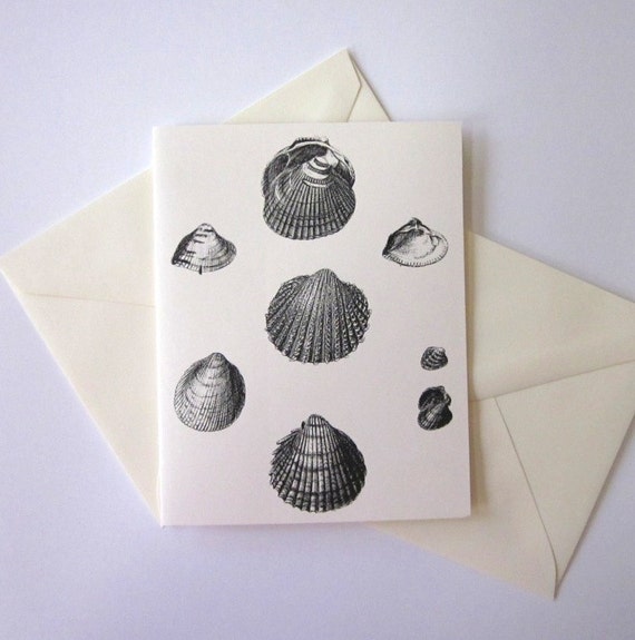 Shell Note Cards Stationery Set of 10 Cards in White or Light - Etsy
