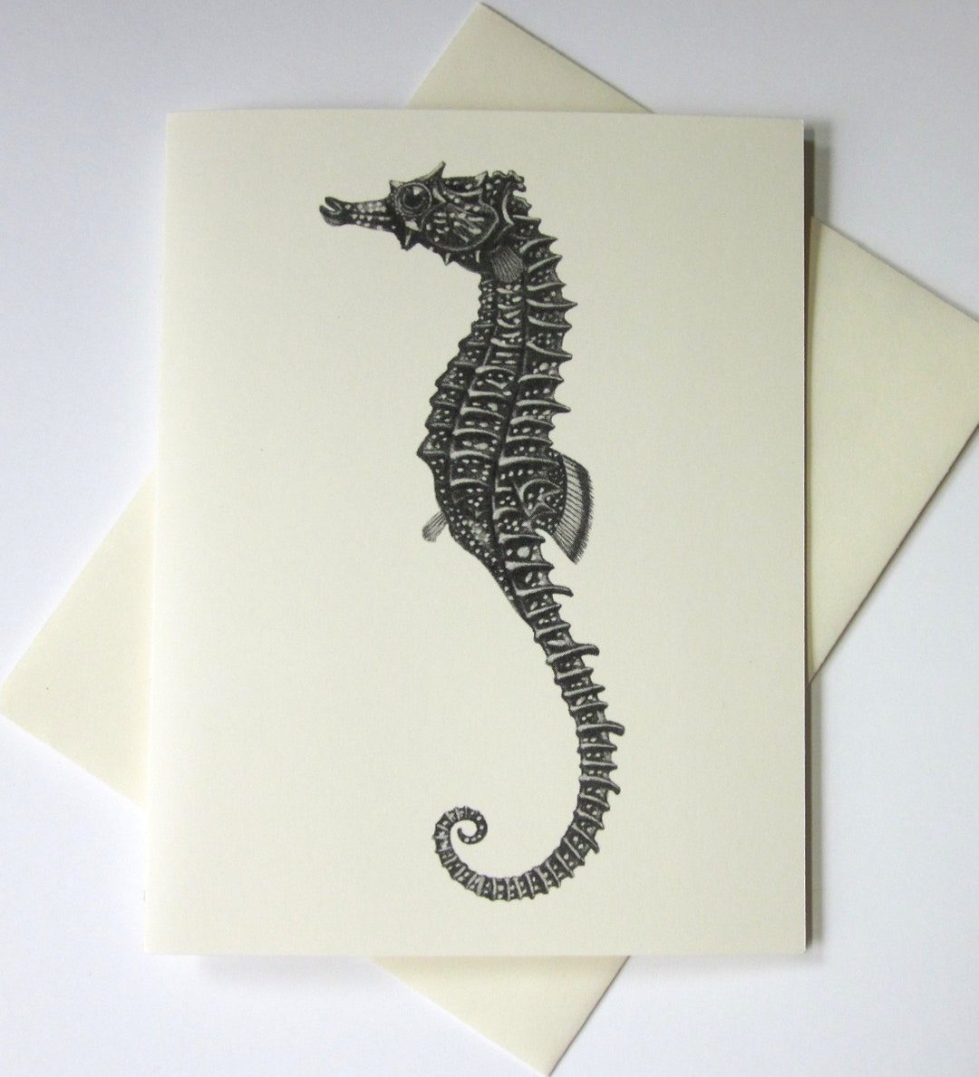 Seahorse Note Cards Stationery Set of 10 Cards in White or Light Ivory ...