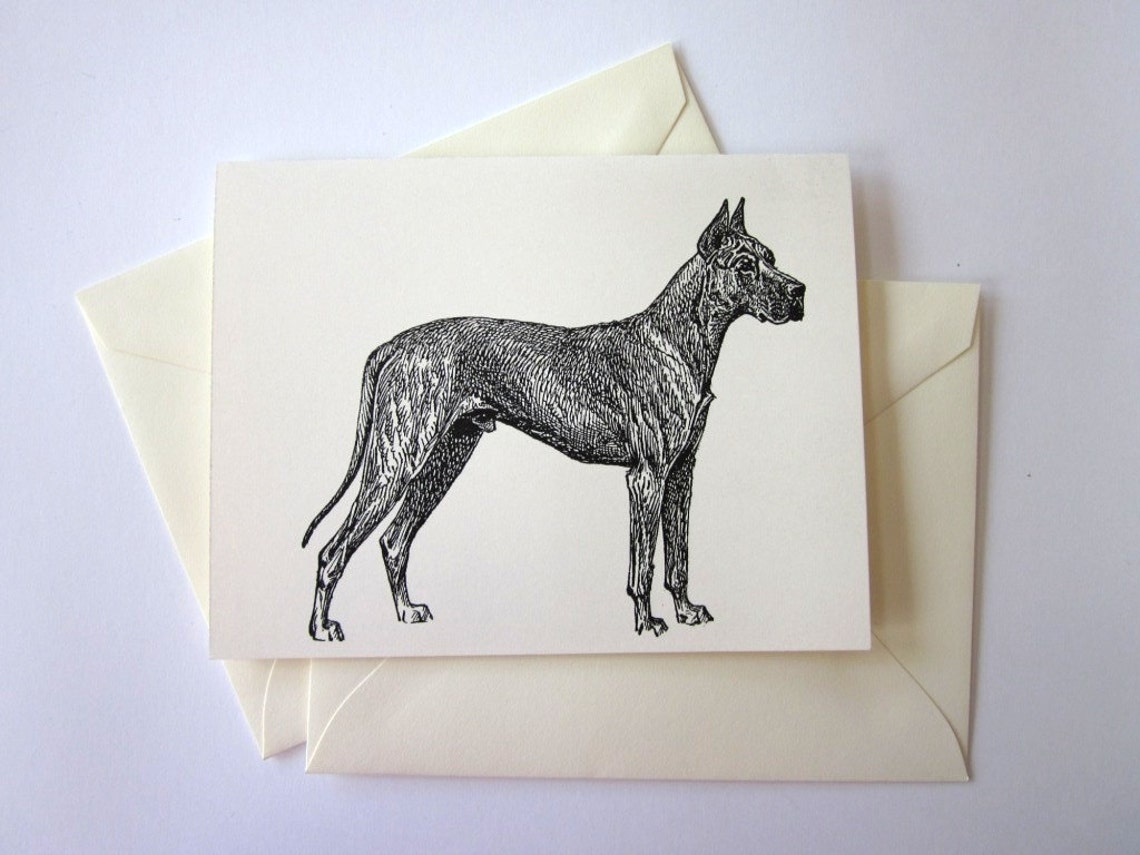 Great Dane Dog Note Cards Stationery Set of 10 Cards in White - Etsy
