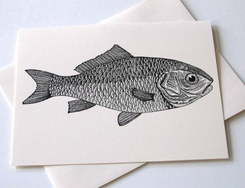 Fish Note Cards Stationery Set of 12 Cards in White or Light - Etsy