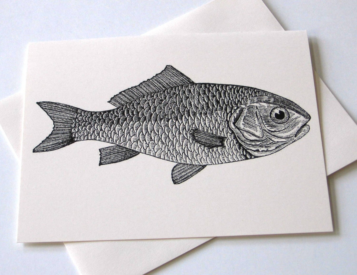 Fish Note Cards Stationery Set of 12 Cards in White or Light - Etsy