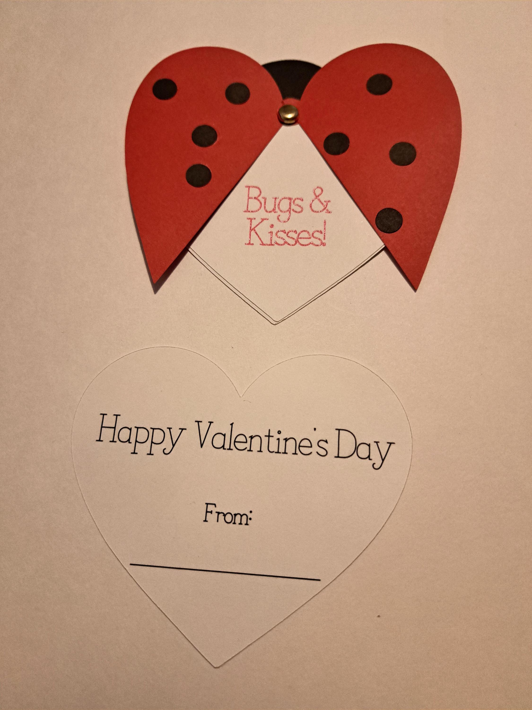 Ladybug Valentine's Day Cards - Etsy