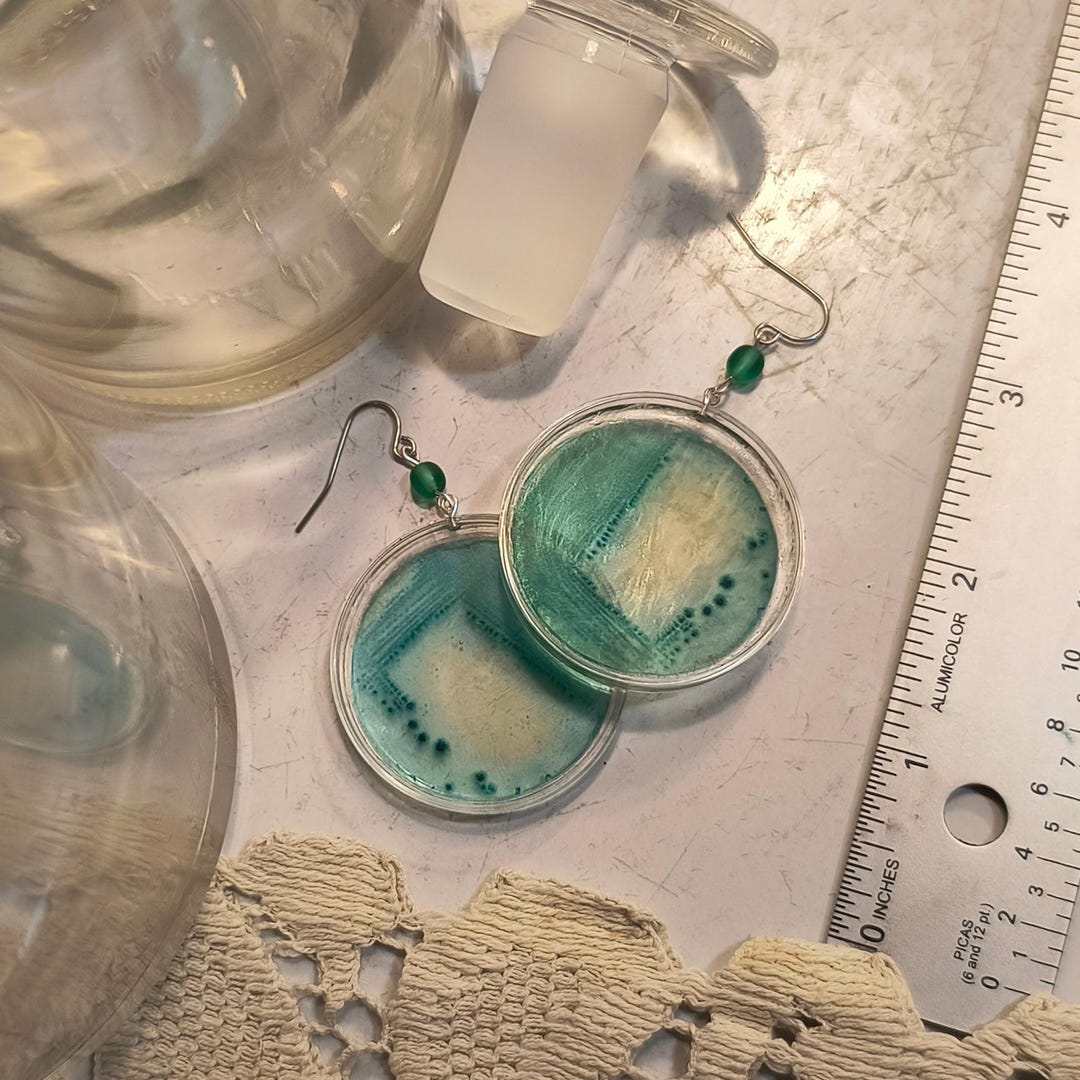Petri Dish Bacteria Earrings - B. Cereus, E. Coli Clostridium, Shigella ...
