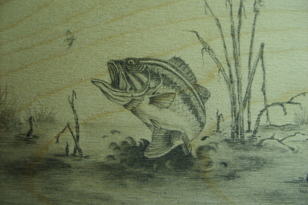 Bass Fish Graphite Drawing, Framed Nautical Wood Panel Art (5x7) - Etsy