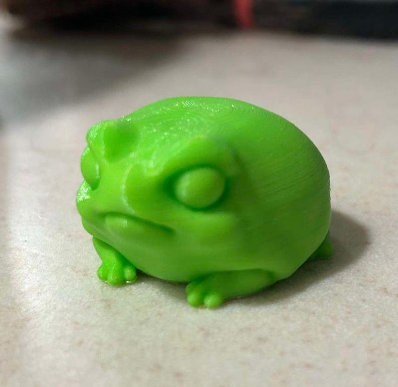 Rain Frog 3D Model - Etsy