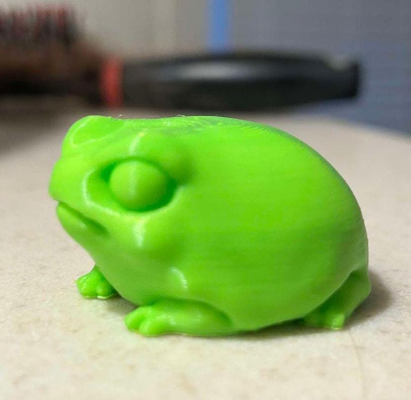 Rain Frog 3D Model - Etsy