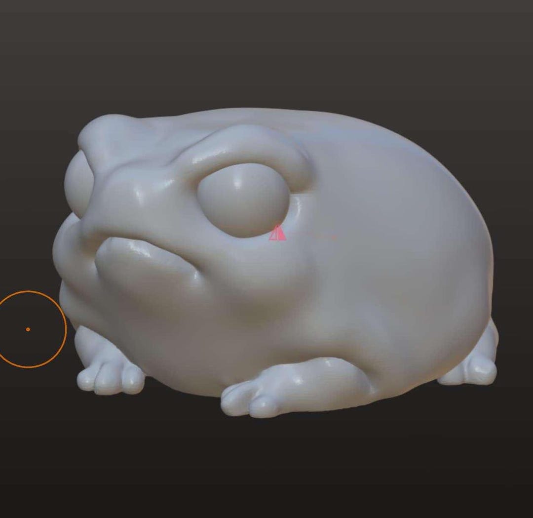 Rain Frog 3D Model - Etsy