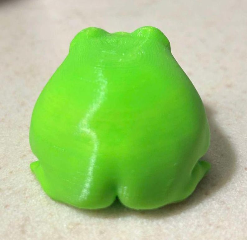Rain Frog 3D Model - Etsy