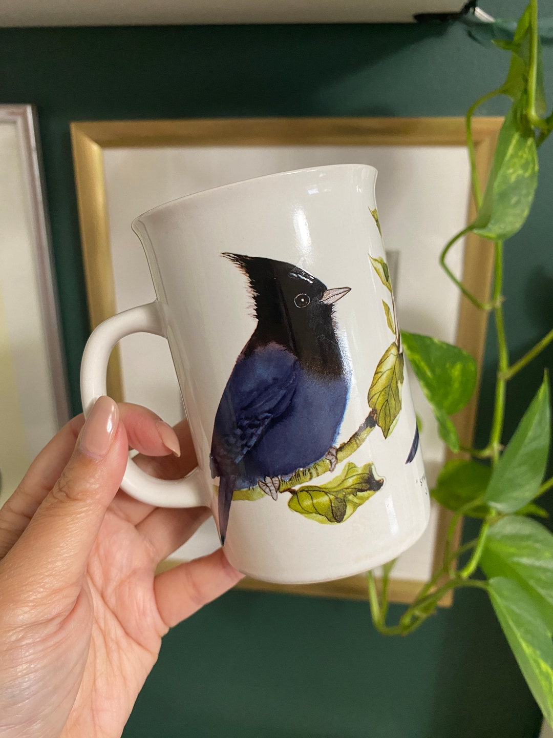 Vintage Valerie Pfeiffer Capilano Birds Mug Stellars Jay - Etsy