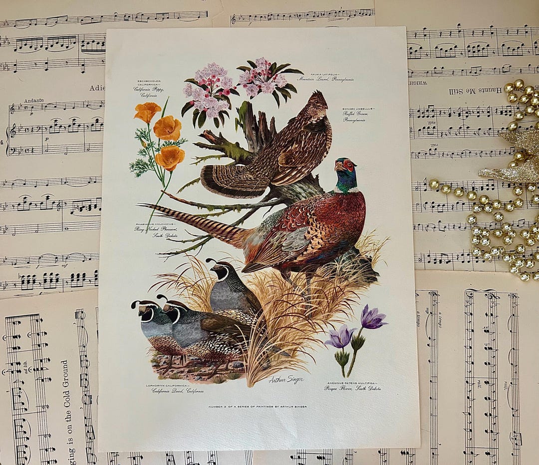 Arthur Singer, Wildlife Print No. 3, California Quail,pheasant,pasque ...