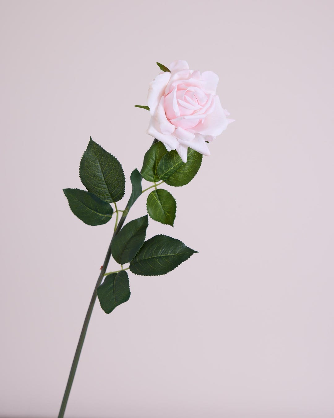 Artificial Light Pink Rose Stem – Real Touch Flower - Etsy
