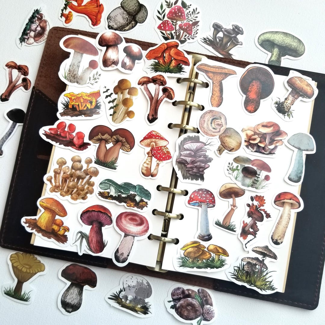 40pcs Cute Mushroom Vinyl Sticker Pack, Scrapbooking - Etsy