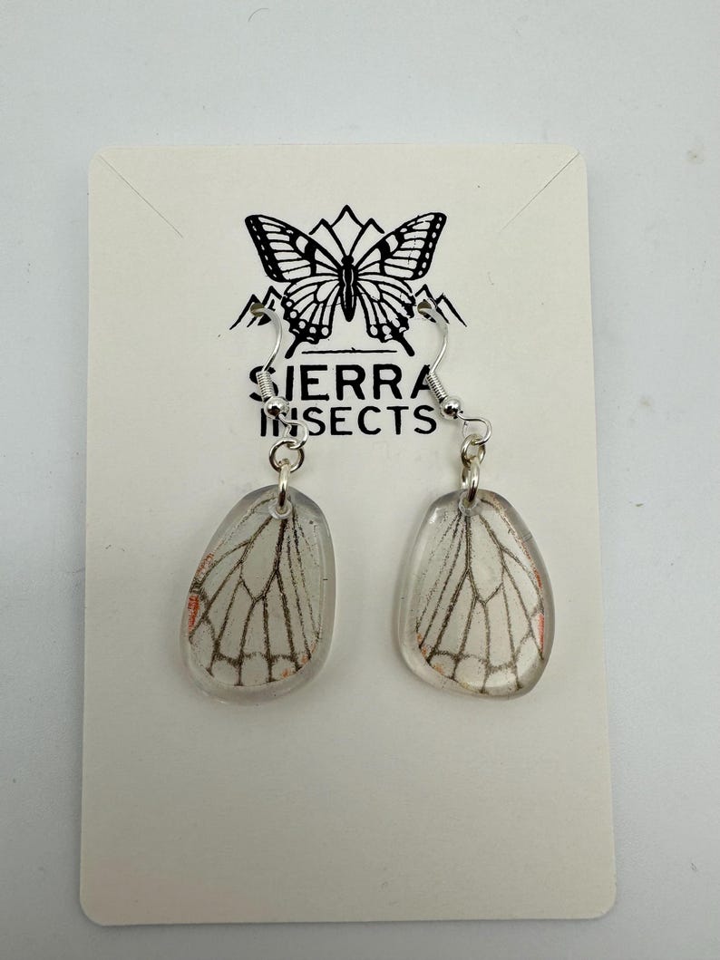 Real Butterfly Wing Earrings - Pine White - Neophasia Menapia - Resin ...