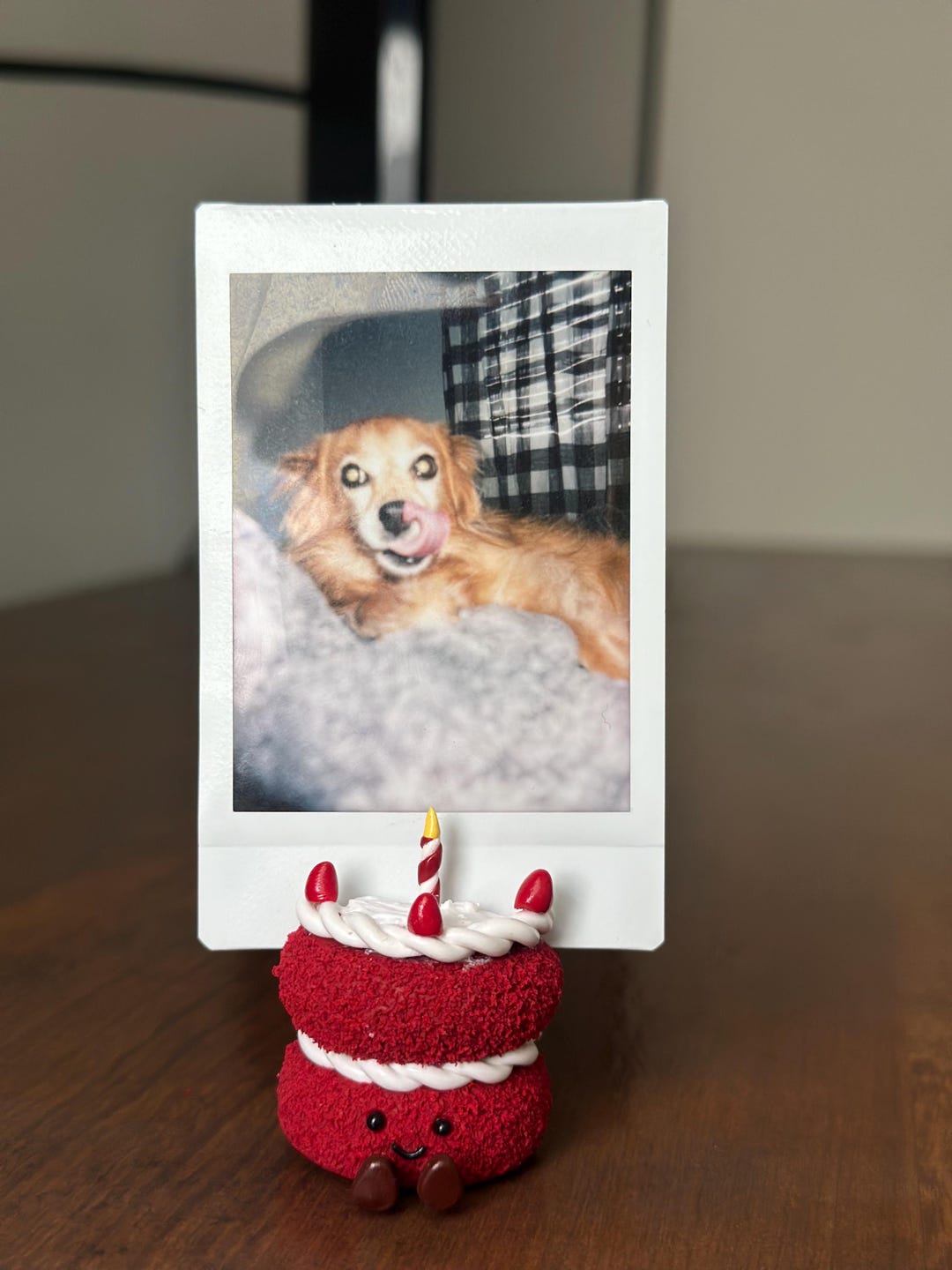 Jellycat Inspired Polaroid Picture Display Holder. - Etsy