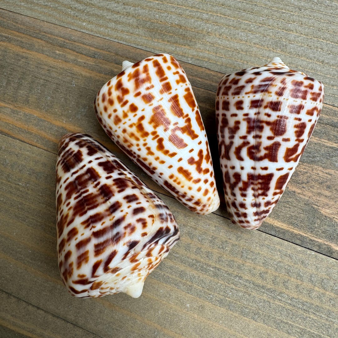 Trio of Dark Chocolate Alphabet Cones 60.7 55.6mm - Etsy