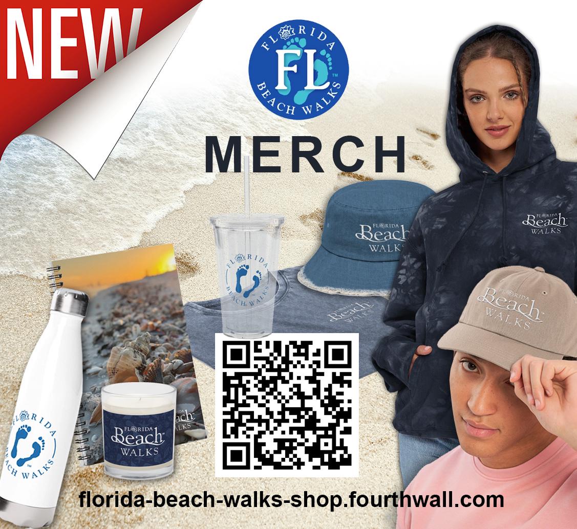 Florida Seashell SWF Set - Etsy