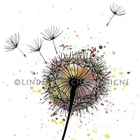 How To Draw A Dandelion Puff