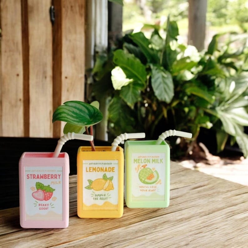 Juice Box Flower Pot | Cute Milk Vase Planter | Fun Decorative Pen ...
