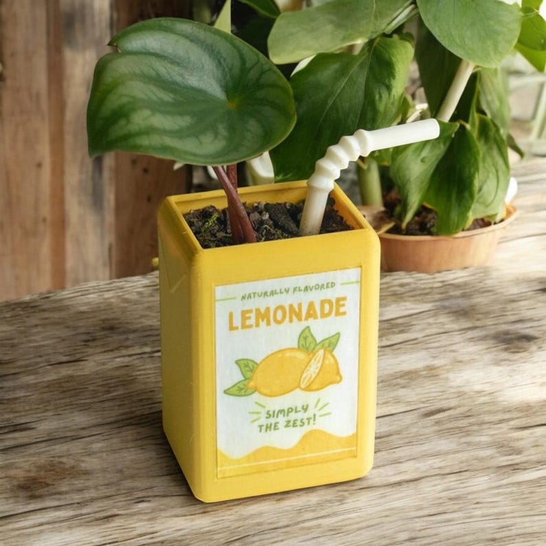 Juice Box Flower Pot | Cute Milk Vase Planter | Fun Decorative Pen ...