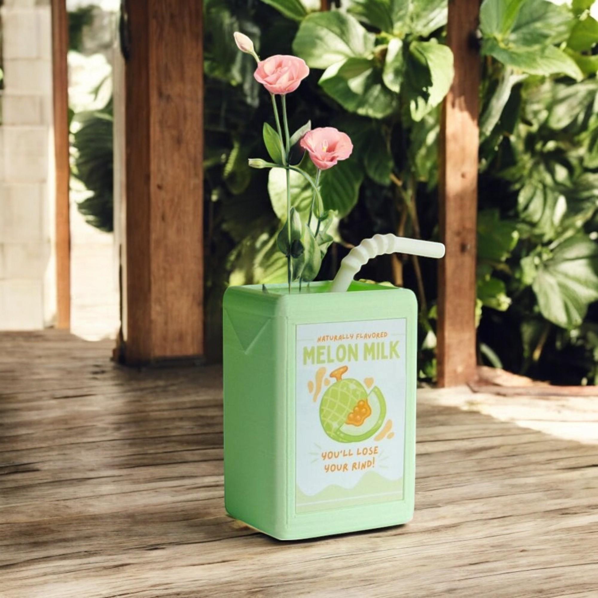 Juice Box Flower Pot | Cute Milk Vase Planter | Fun Decorative Pen ...