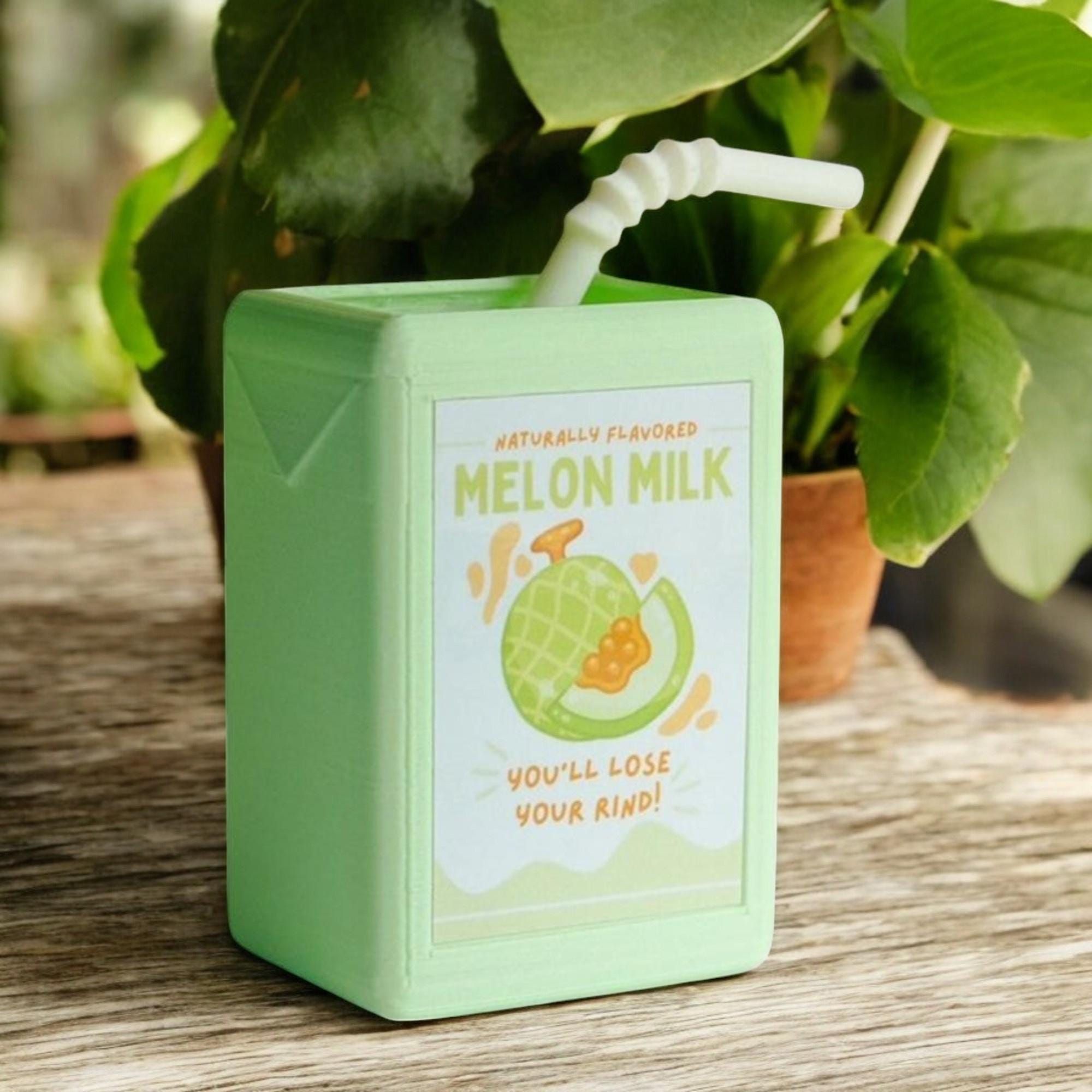 Juice Box Flower Pot | Cute Milk Vase Planter | Fun Decorative Pen ...