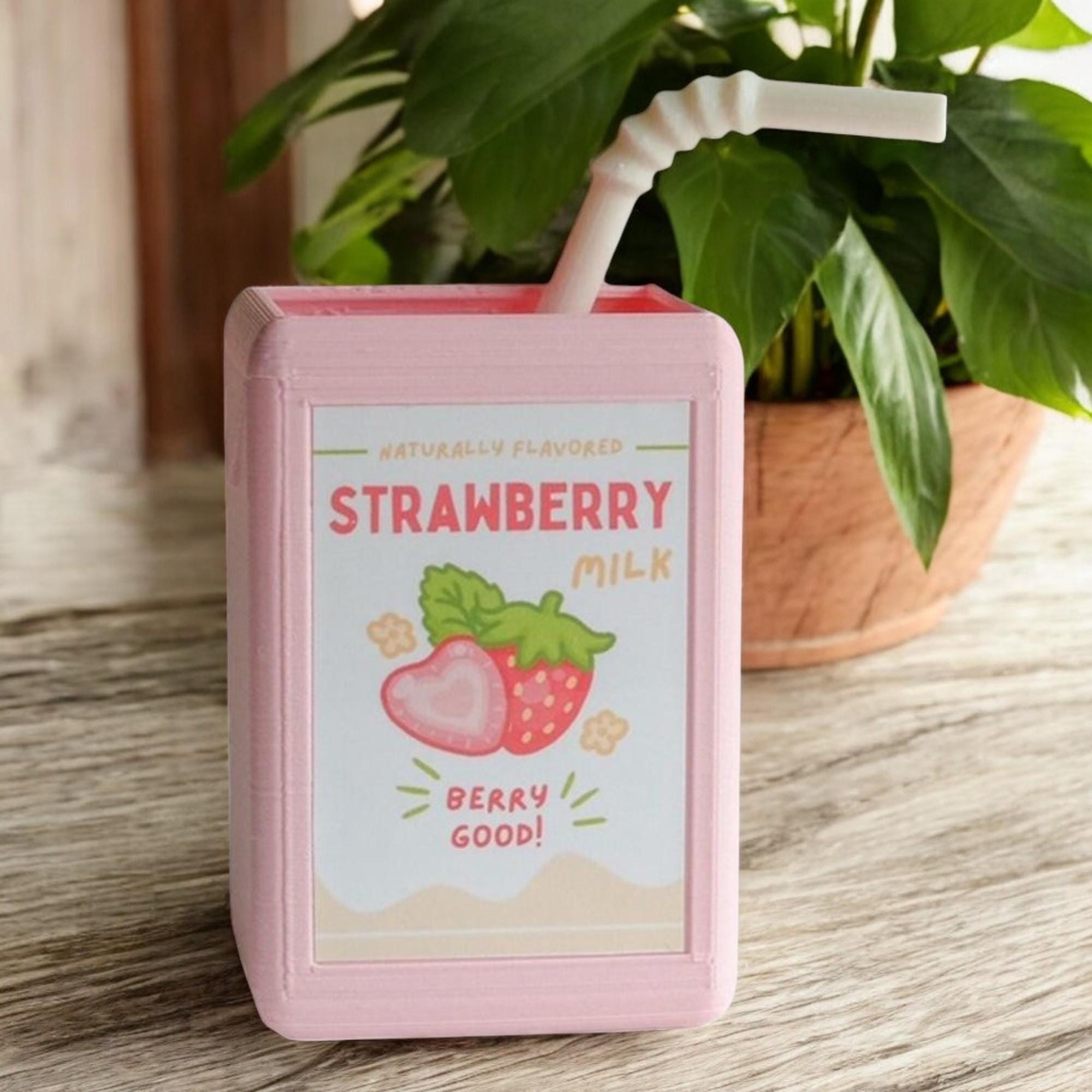 Juice Box Flower Pot | Cute Milk Vase Planter | Fun Decorative Pen ...