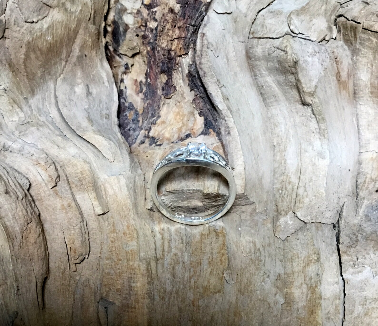 The Medium Width Crow Ring Rf180f - Etsy