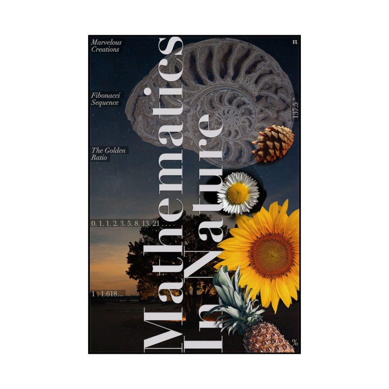 Mathematics in Nature Vertical Poster, Educational Art Print, Geometric ...