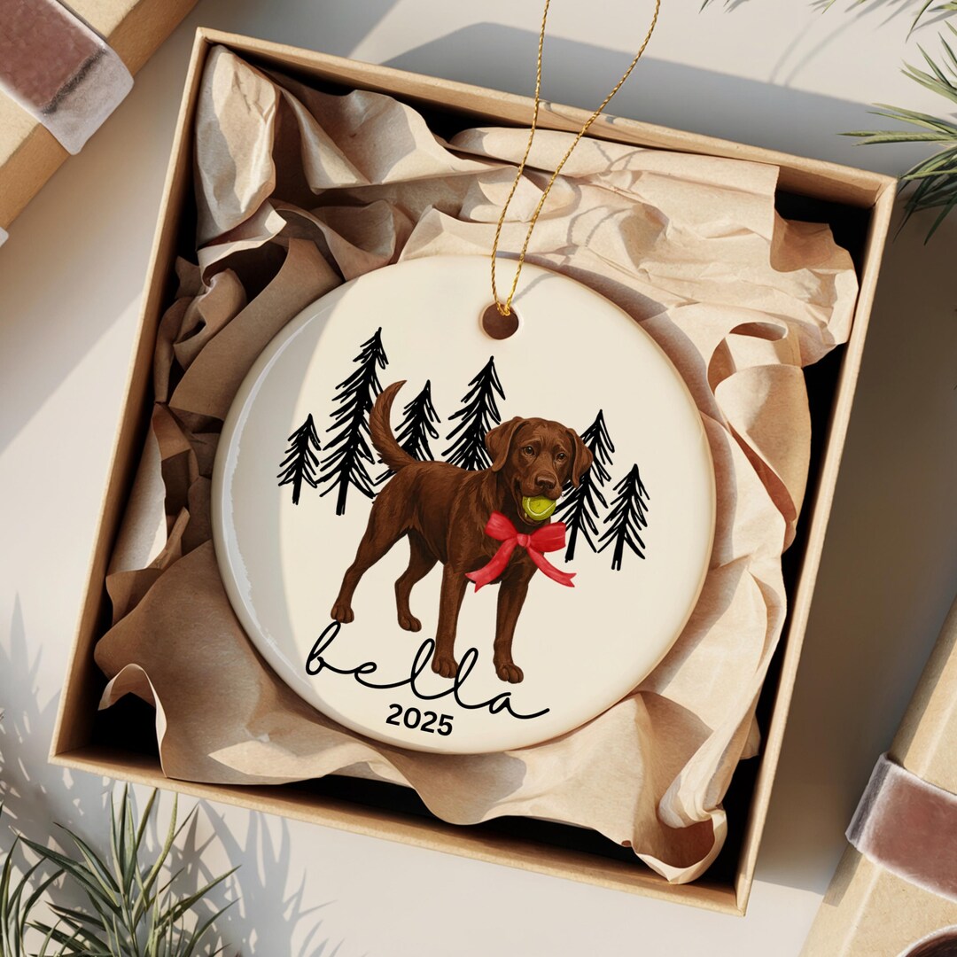 Custom Chocolate Labrador Gift Chocolate Lab Ornament Personalized ...