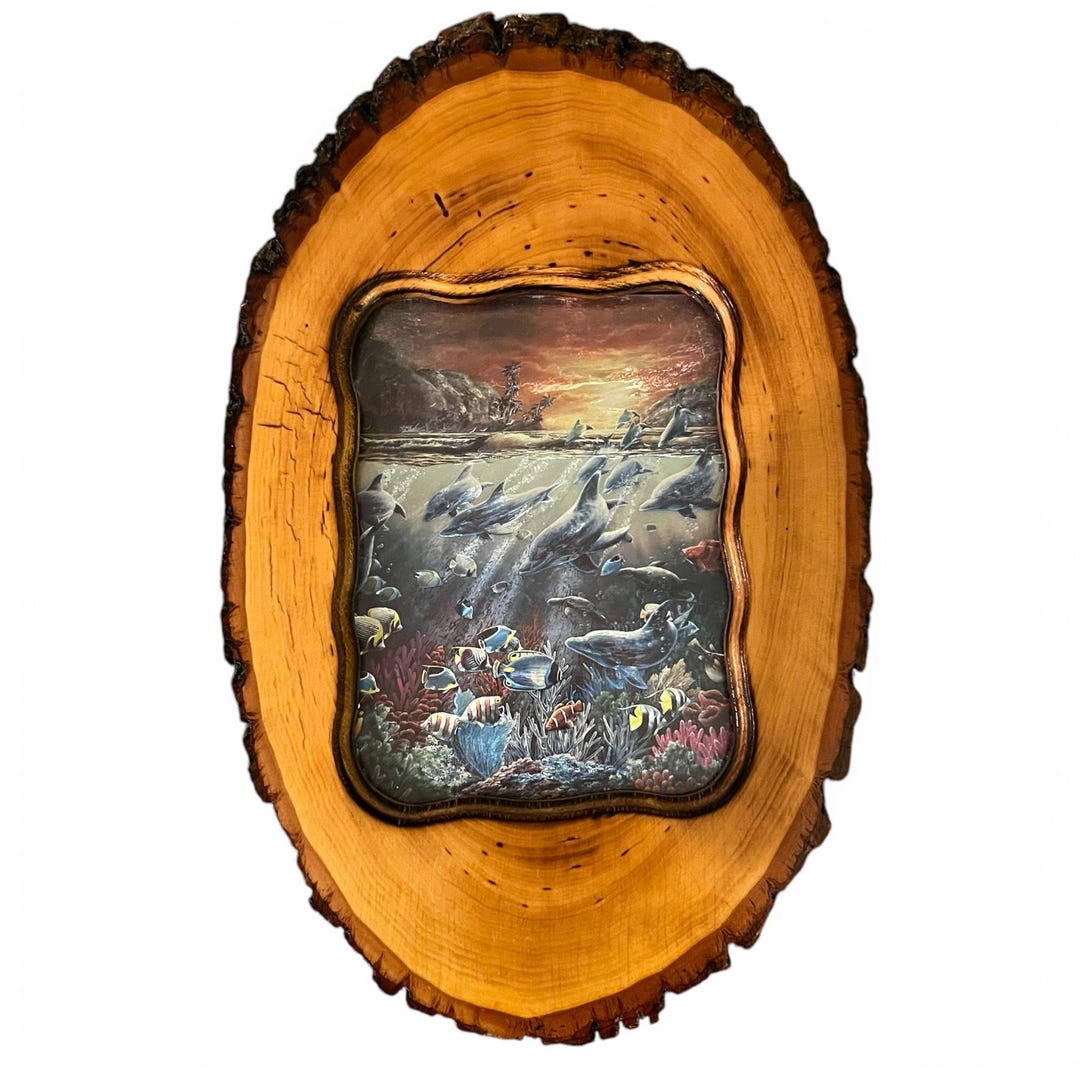 Oval Rustic Wood Frame With Iridescent Dolphin Picture - Etsy