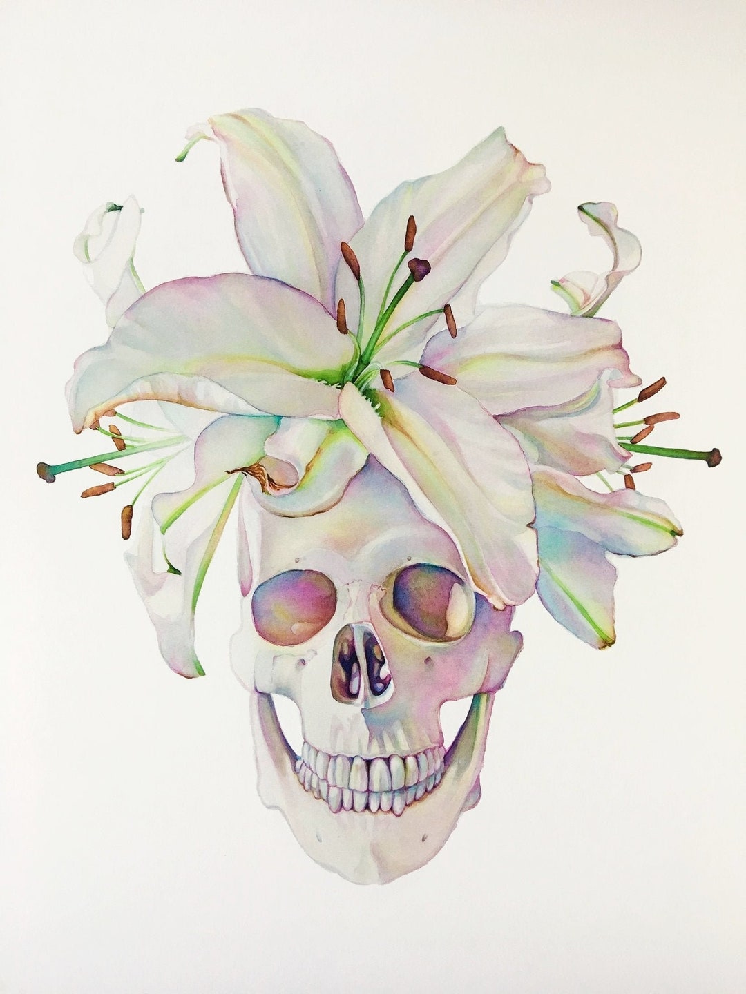 ALLEGORY Open Edition Fine Art PRINT Skull Lilies Watercolor Tracy ...