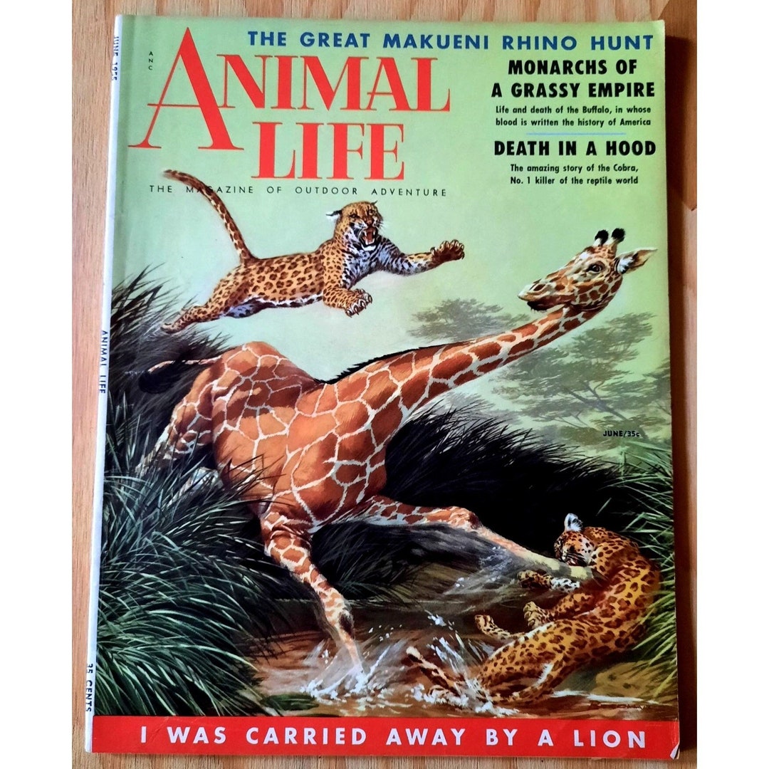 Vintage Pulp Fiction Animal Life Magazine June 1955 Vol No 8 Original ...