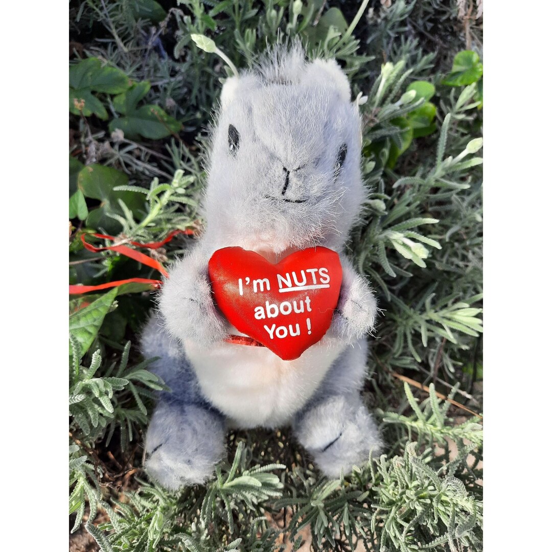 Vintage Russ Berrie Caress Soft Pets I'm Nuts About You Squirrel Plush ...