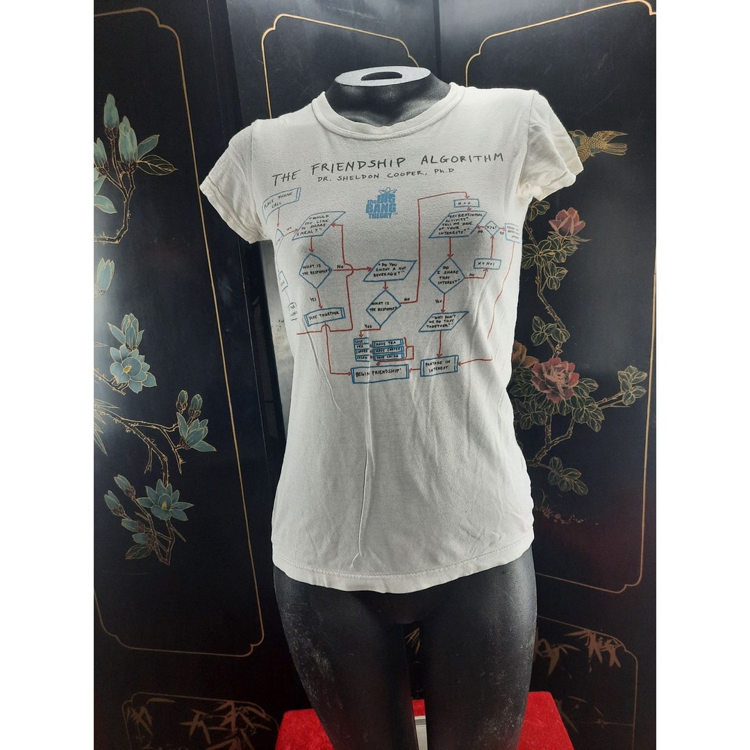 Big Bang Theory TV Show Womens S Tshirt the Friendship Algorithm - Etsy
