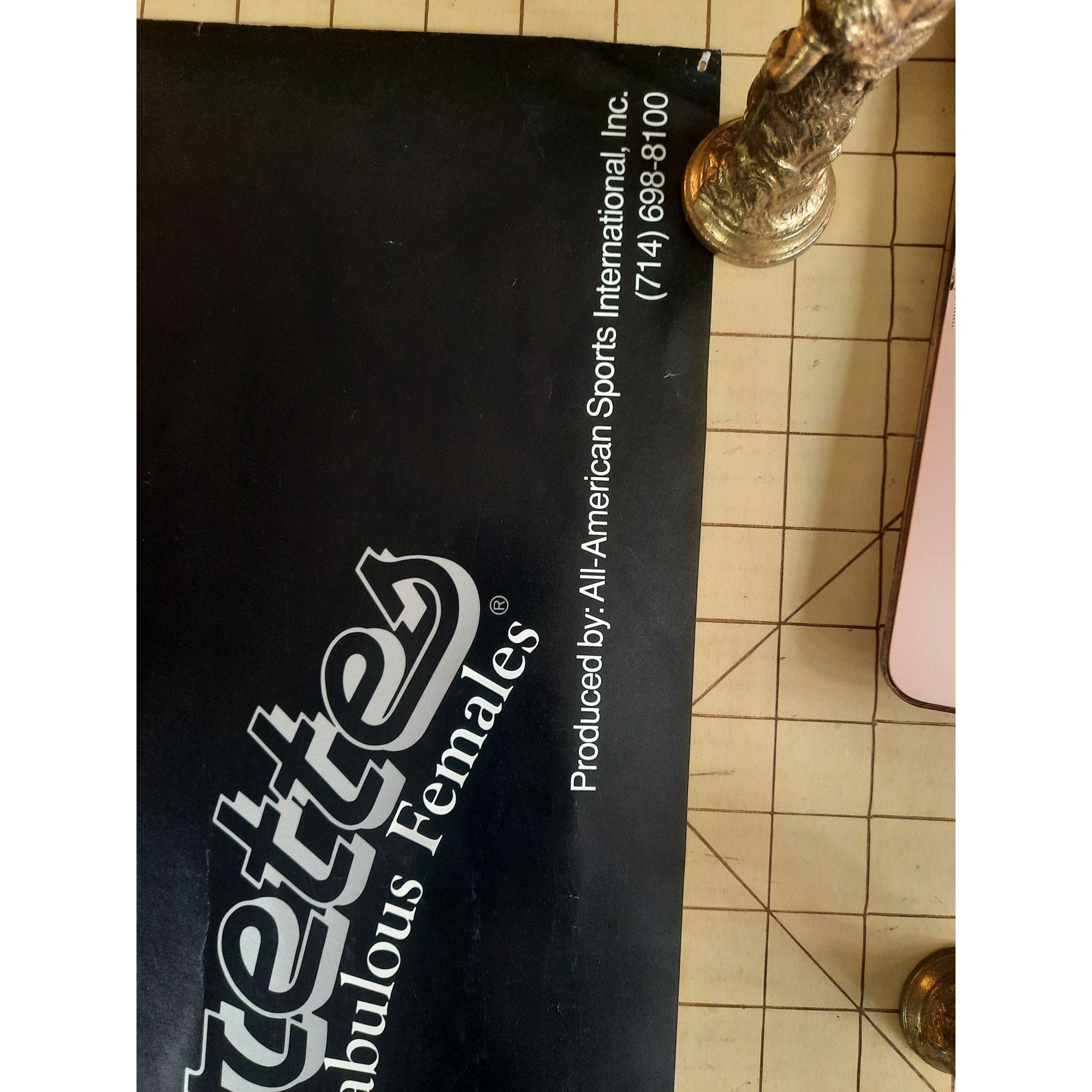 Vintage Poster Raiderettes Cheerleaders Football's Fabulous Females ...