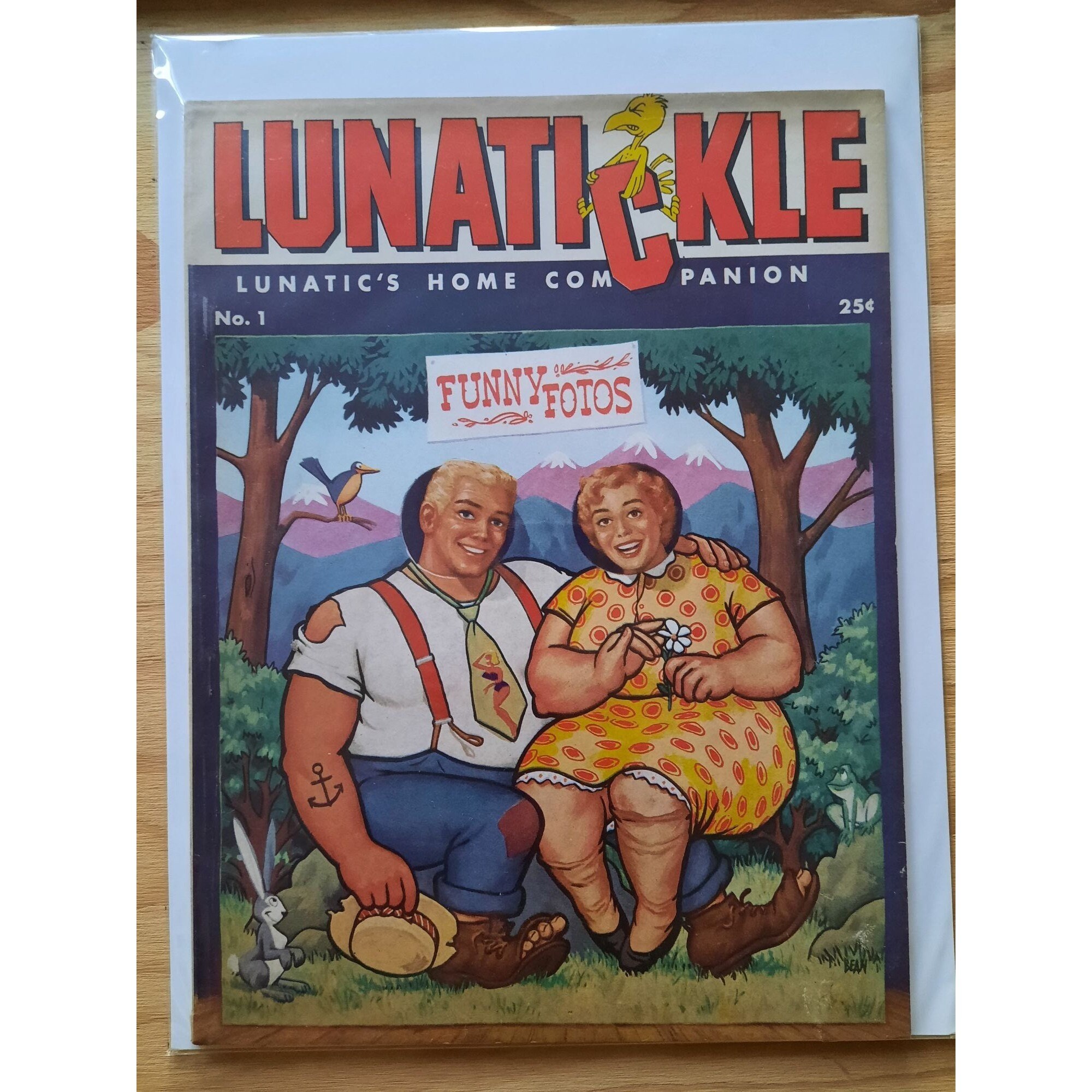 Vintage Lunatickle Lunatic's Home Companion Comic Book Magazine No 1 ...