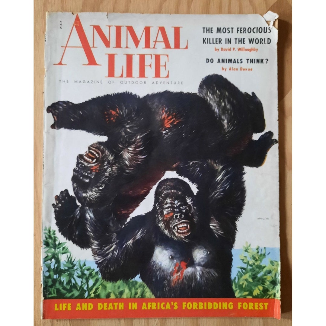Vintage Pulp Fiction Animal Life Magazine April 1955 Vol 1 No 7 ...