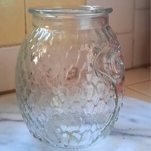 Vintage Clear Wise Old Owl Jar Pressed Glass Drinking Apothecary 5" - Etsy