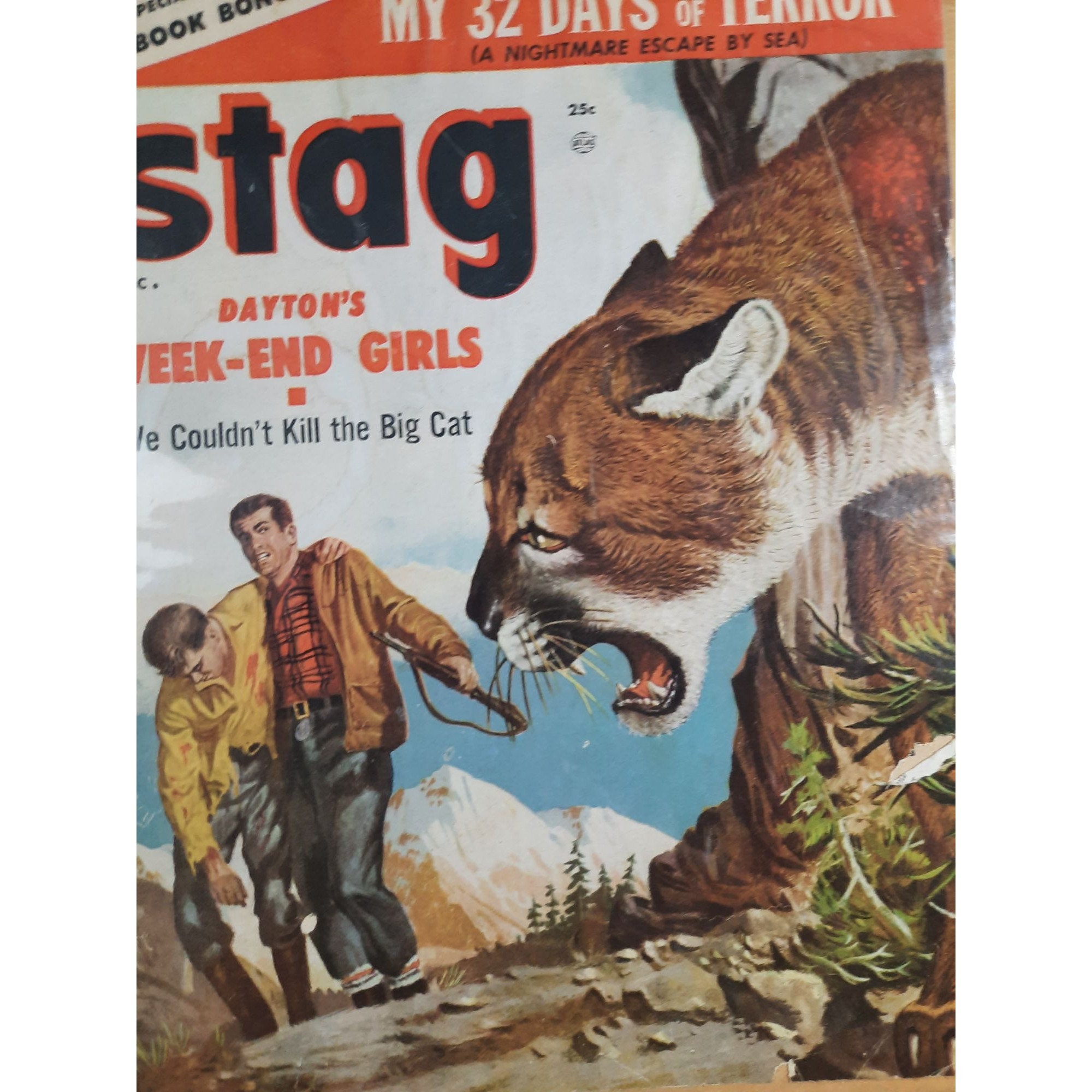 Vintage Stag Magazine We Couldn't Kill the Big Cat Original Publication ...
