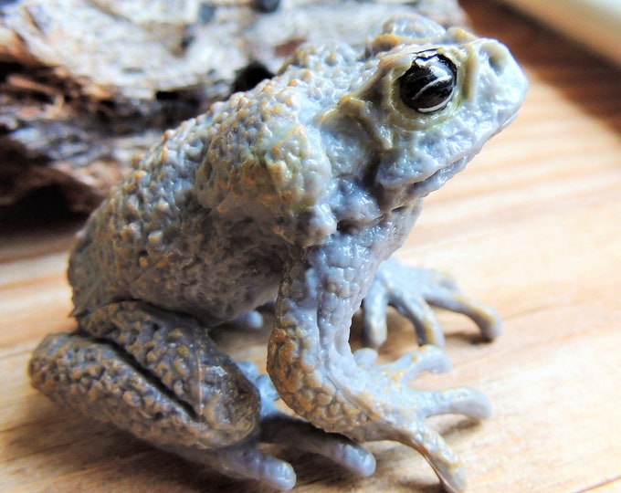 Miniature CANE TOAD Frog Animals Figure Figurine Dollhouse Diorama ...