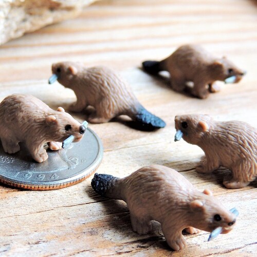 Set of MINIATURE BEAVERS Animal Figurine Figure Mini Terrarium - Etsy
