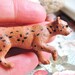 Large MINIATURE WALLABY Animals Figure Figurine Dollhouse Fairy Garden ...