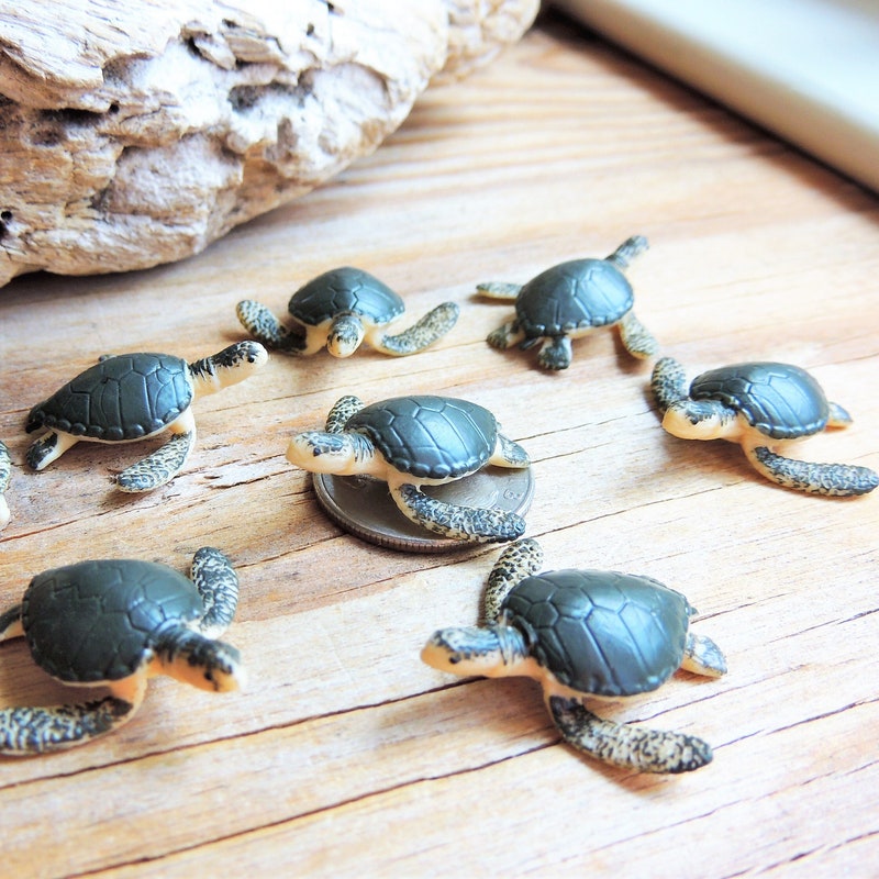 Sea Turtle Charm Pack - Etsy