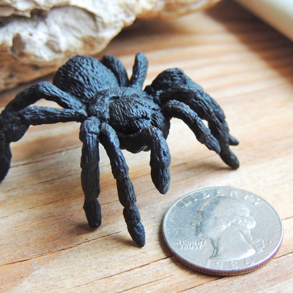 Tarantula - Etsy