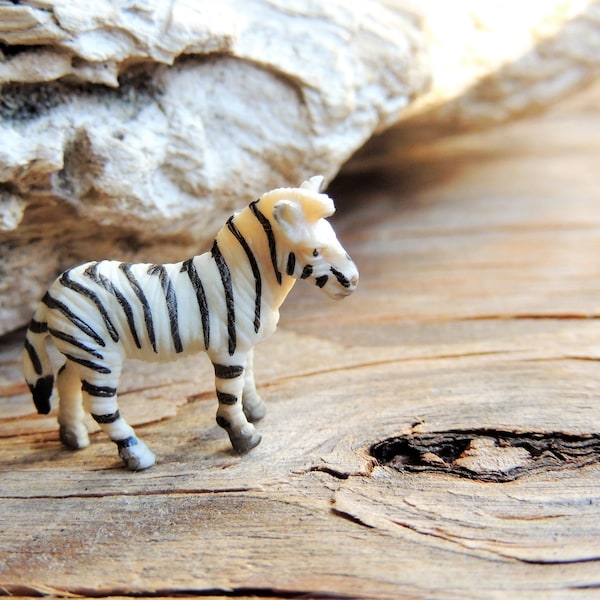 Zebra Zoo - Etsy